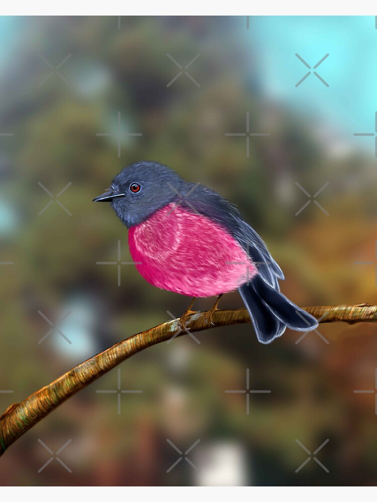 "Pink Robin chilling on a branch" Sticker for Sale by BrushesNature ...