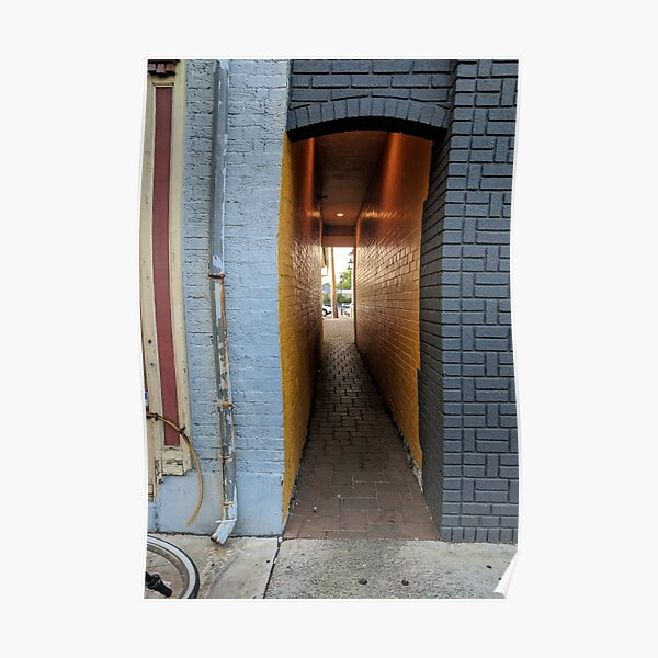 "Alleyway Aesthetic" Poster by OliviaME17 | Redbubble