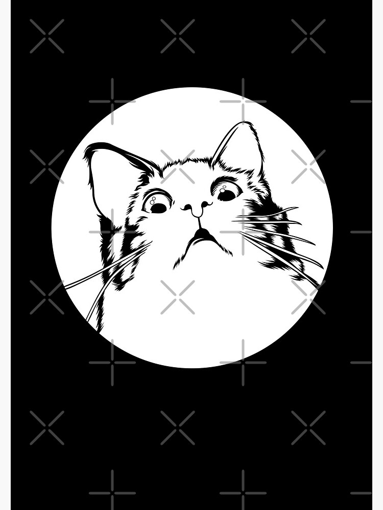 "Surprised Shocked Cat Funny Internet Meme" Spiral Notebook for Sale by ...