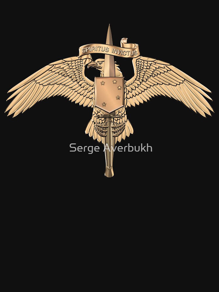 "Special Operator Insignia - Raider Dagger Badge over Black Velvet ...