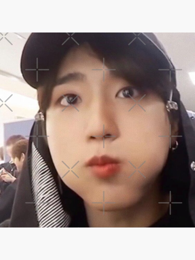 Pegatina «Ardilla Han Jisung Stray Kids pegatinas divertidas skz 3racha ...