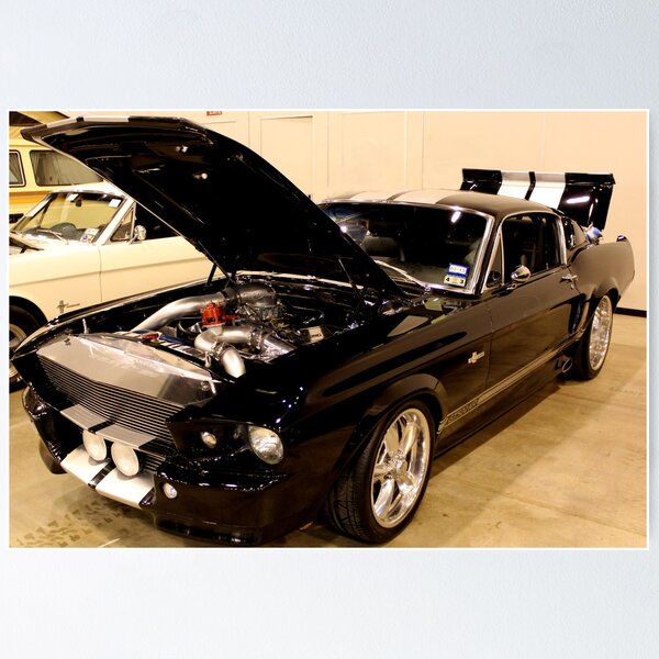 "Eleanor" Poster for Sale by freevette | Redbubble