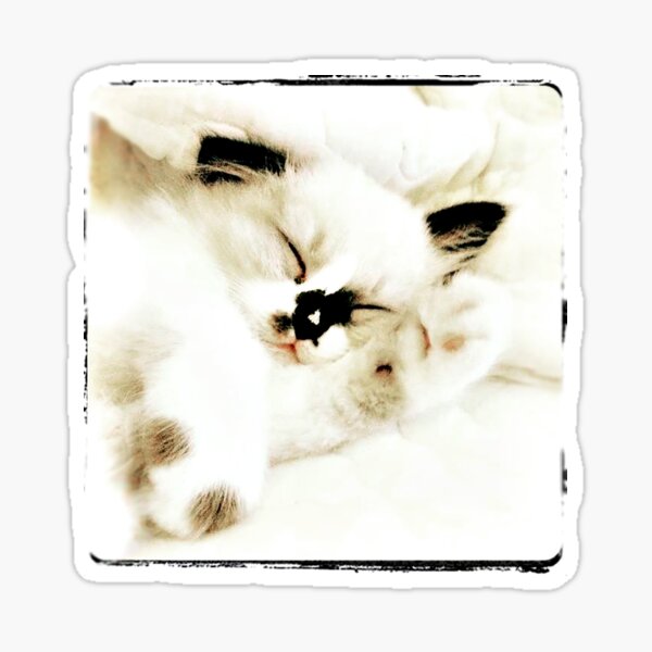 "Sleepy Head" Sticker by shhevaun | Redbubble