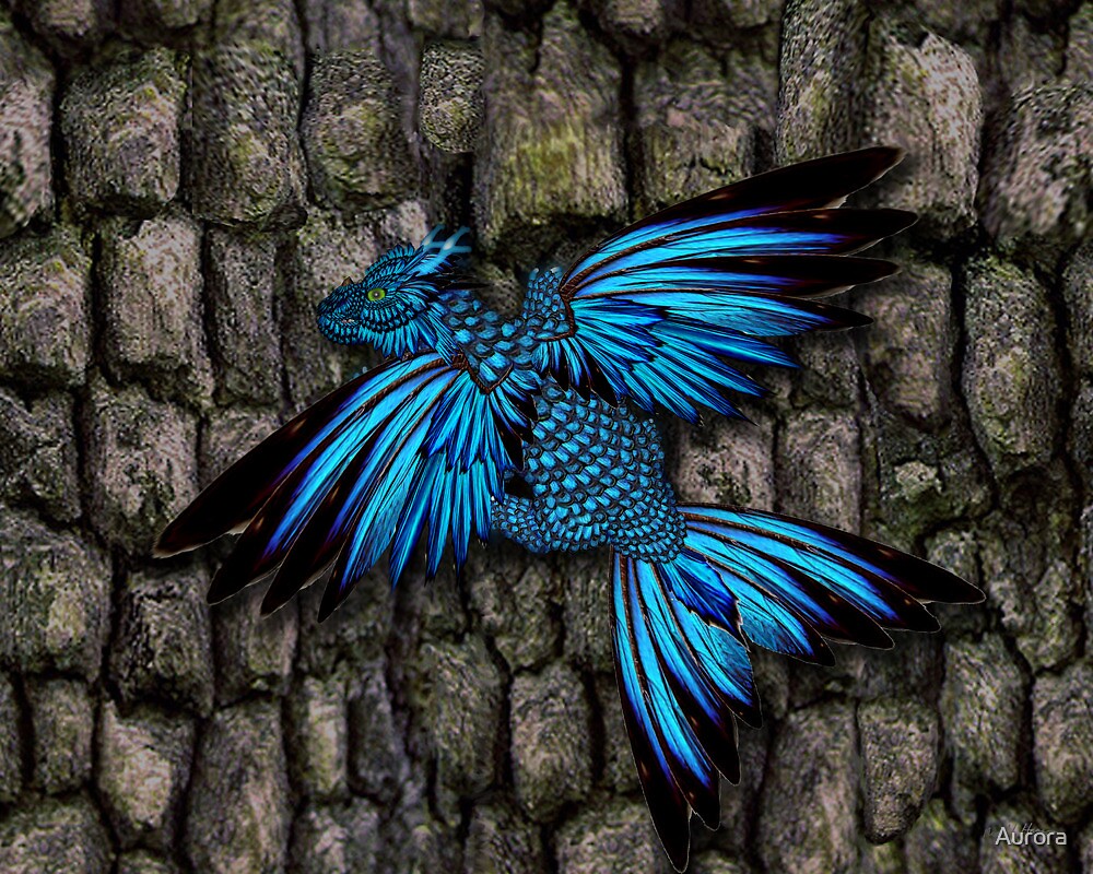 "The blue morpho dragon on wood" by Aurora | Redbubble