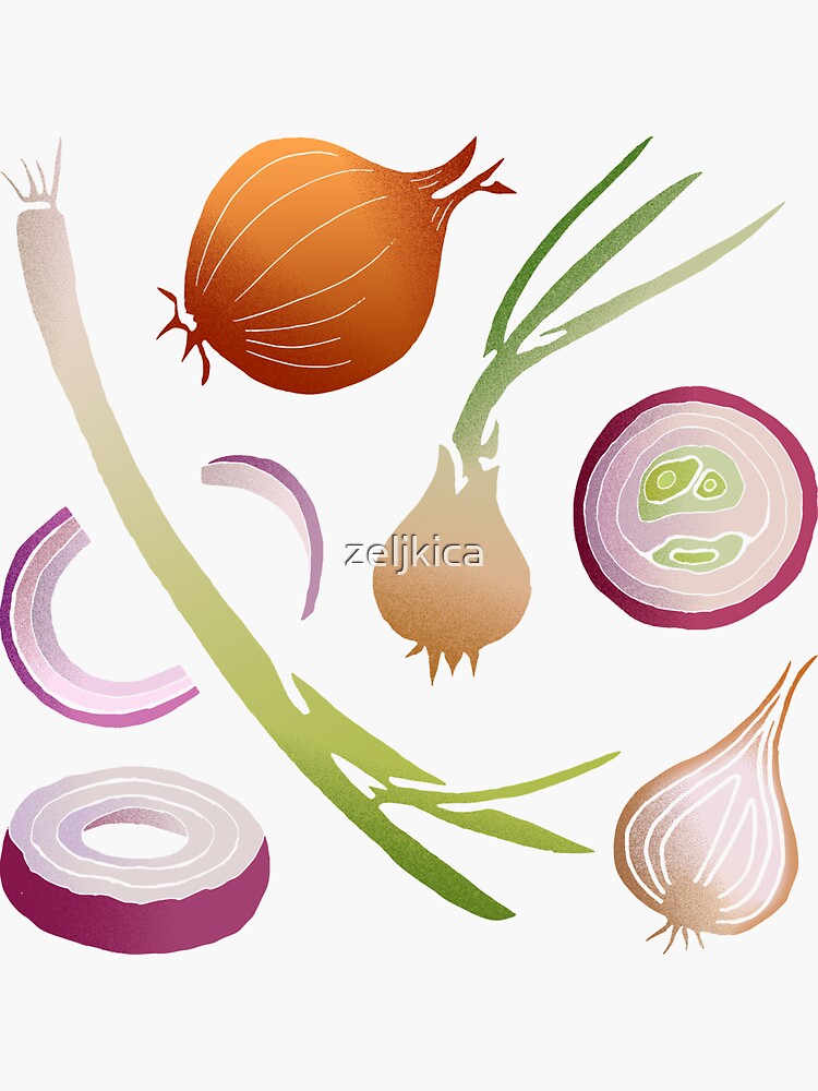 "Onions" Sticker by zeljkica | Redbubble