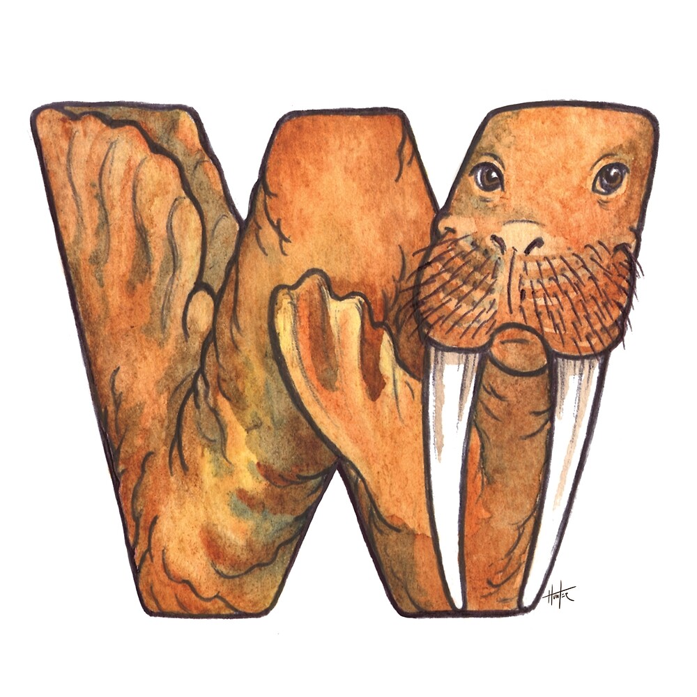 "W - Walrus, Animalphabet" by LlynHunter | Redbubble