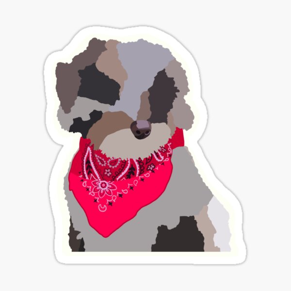 "aussiedoodle puppy" Sticker by carolinecardwel | Redbubble