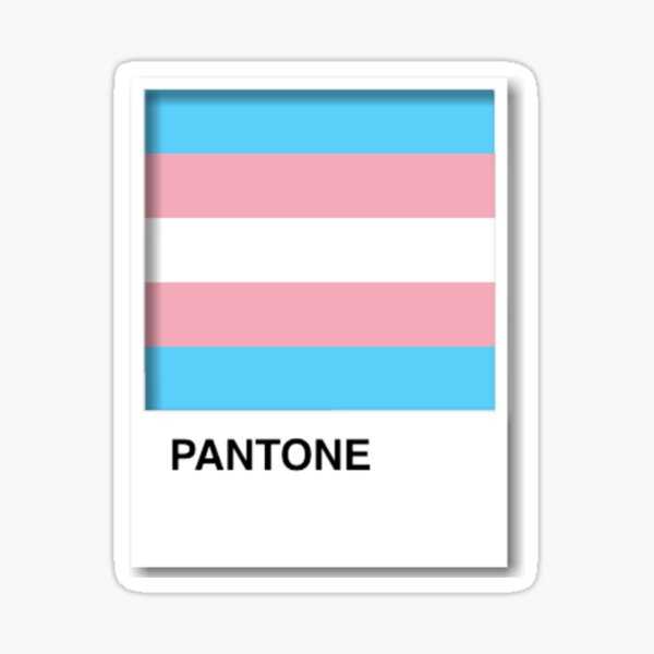 "Trans Pride Pantone Swatch" Sticker by rkxav-art | Redbubble