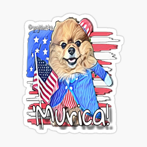"4th of july Pomeranian celebrating "'murica!"" Sticker for Sale by ...