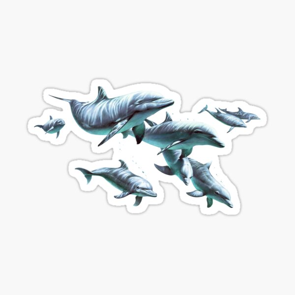 "Dolphin Pod" Sticker by Salmoneggs | Redbubble