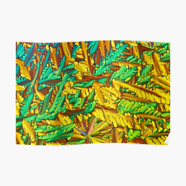 "Liquid crystal dendrites" Poster by VanceWilliams | Redbubble