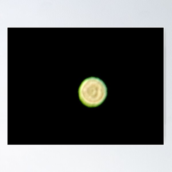 Best Shina Liquir Posters for Sale | Redbubble