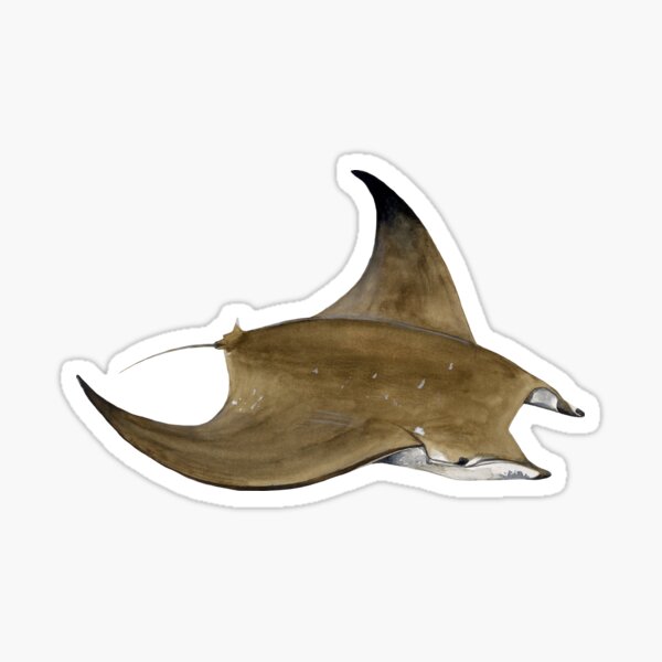 Mobula Gifts & Merchandise | Redbubble