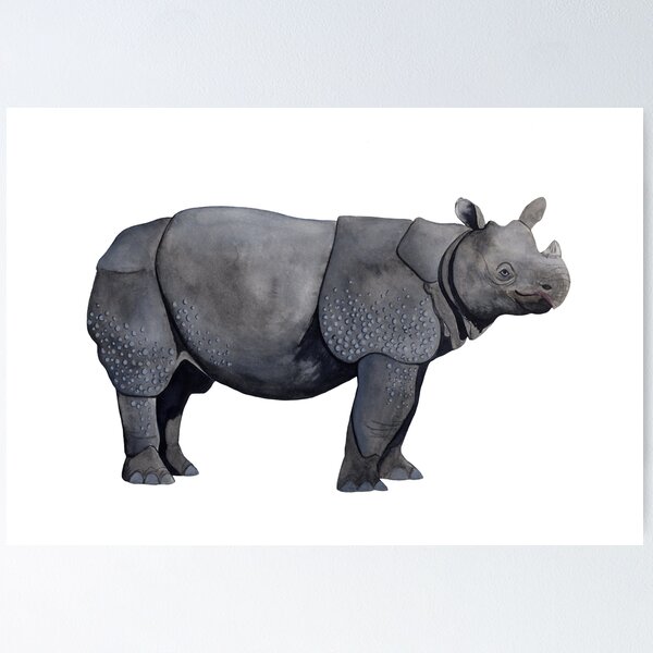 "JAVAN RHINO" Poster by BEATRIZ ABAITUA | Redbubble