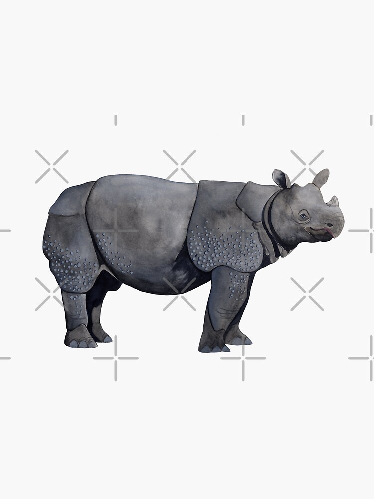"JAVAN RHINO" Sticker for Sale by bananaflamingo | Redbubble