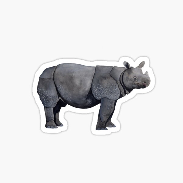"JAVAN RHINO" Sticker for Sale by bananaflamingo | Redbubble
