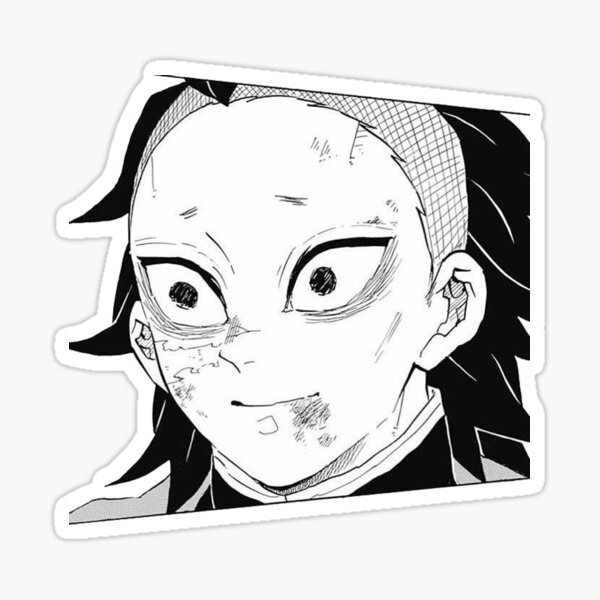 Genya Shinazugawa Stickers | Redbubble