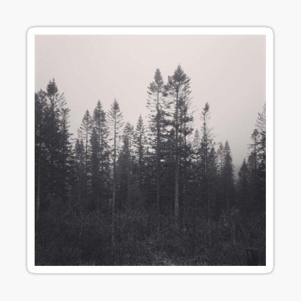 "Monochrome landscape" Sticker for Sale by Milly2015 | Redbubble