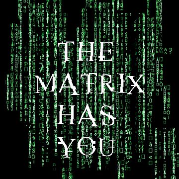 "The matrix has you - Matrix" Poster for Sale by Cauto-DiPelo | Redbubble
