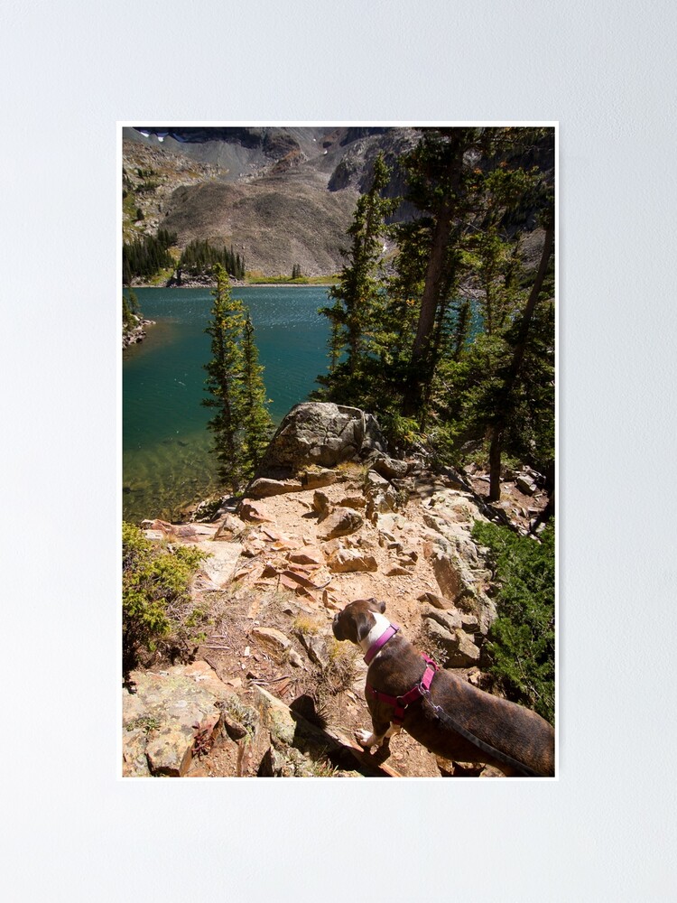 "Glacier Lake Colorado- Lake Agnes" Poster for Sale by 3QuartersToday ...