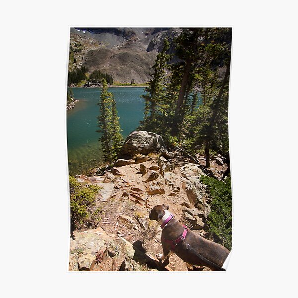 "Glacier Lake Colorado- Lake Agnes" Poster for Sale by 3QuartersToday ...