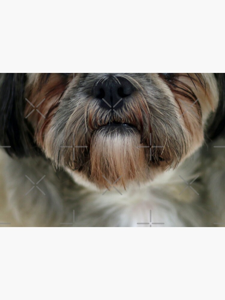 "Shih Tzu dog face" Mask for Sale by buenogoods | Redbubble