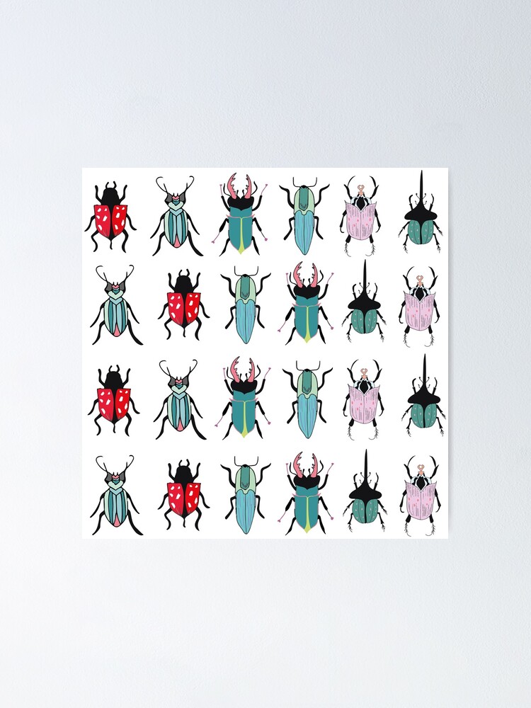 "colored beetles insect beetles" Poster by Araviles | Redbubble