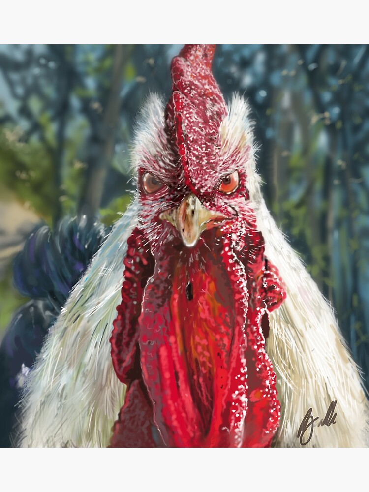 "angry chicken/Mean looking Rooster" Poster for Sale by tonsan55 ...