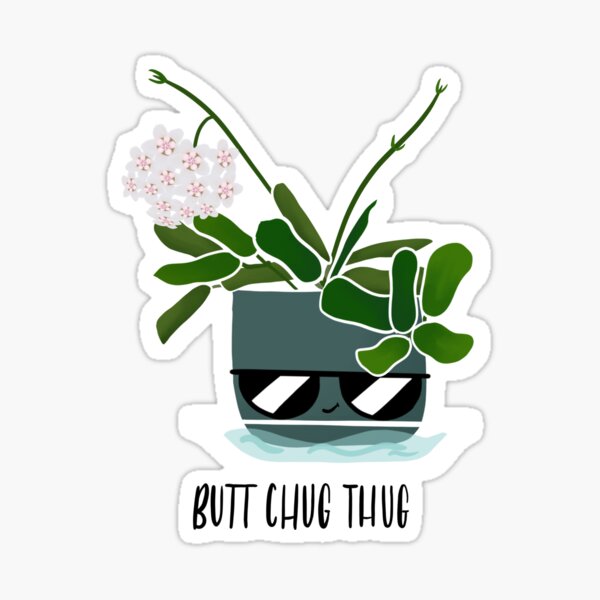 "Hoya Butt Chug Thug" Sticker by GelsGarden | Redbubble