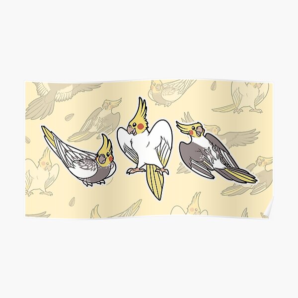 "Cockatiel Party! (3)" Poster by TheRoyalGryphon | Redbubble
