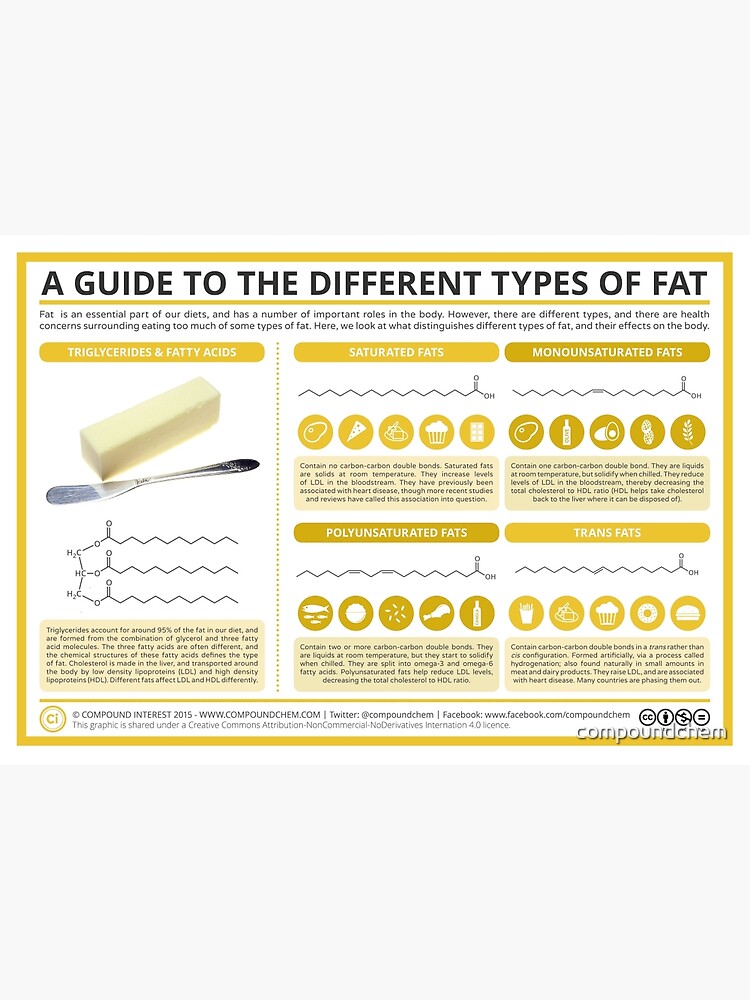 A Guide to Different Types of Fat Premium Matte Vertical Poster sold by ...