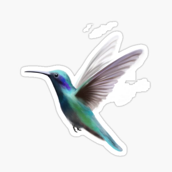 "Colibri bird flying" Sticker by Juliarch | Redbubble