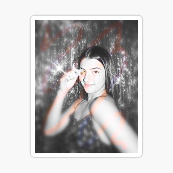 "Charli" Sticker for Sale by l7145024w | Redbubble