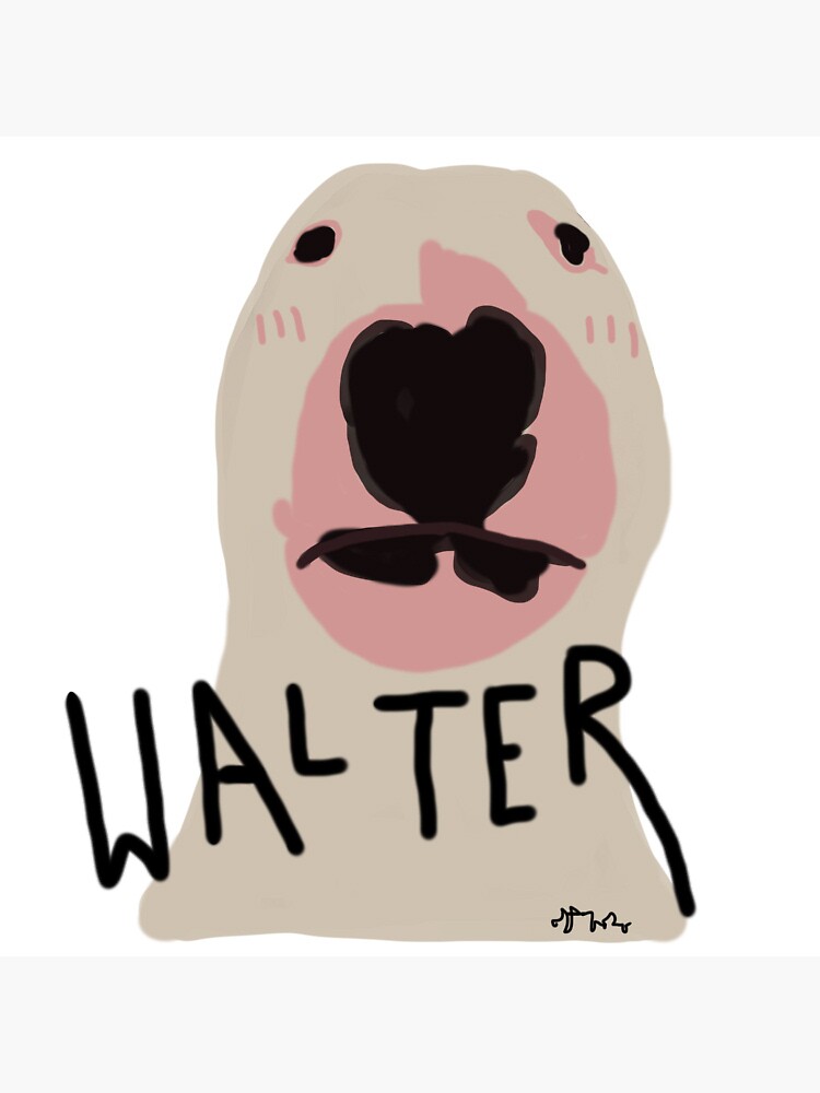 "Walter Meme" Sticker by jemmalum | Redbubble