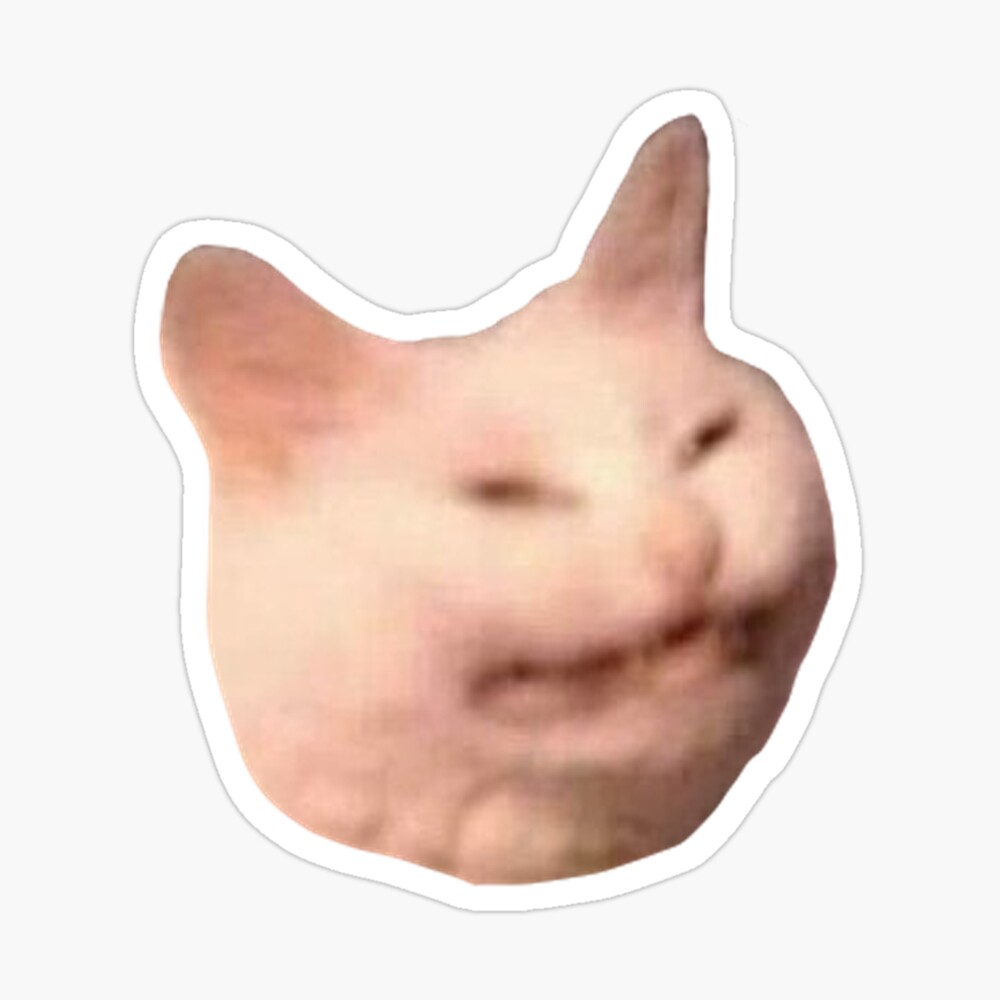 Squinty Cat Memes White And Ginger Funny Cat Smiling And Squinting