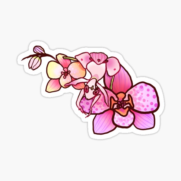 "Orchid Mantis" Sticker for Sale by cassarroll | Redbubble