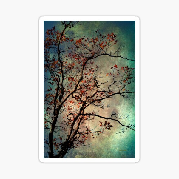 "Textured Tree" Sticker for Sale by rollosphotos | Redbubble