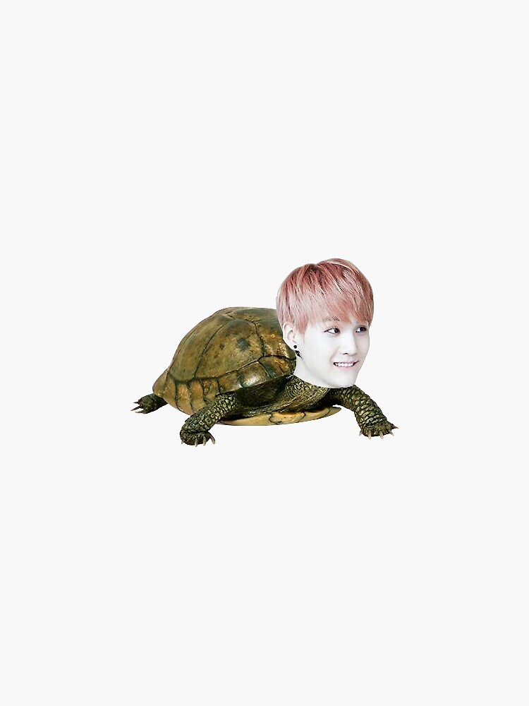 "Min Suga Turtle BTS Yoongi Meme" Sticker for Sale by katherinesbored ...