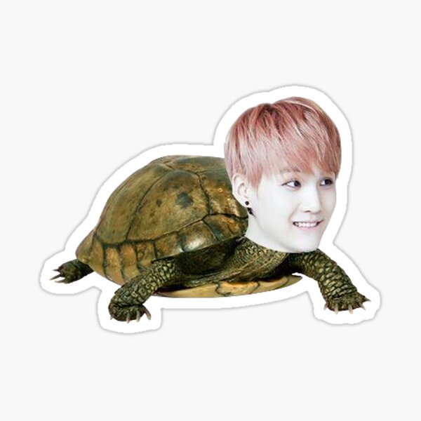 "Min Suga Turtle BTS Yoongi Meme" Sticker for Sale by katherinesbored ...