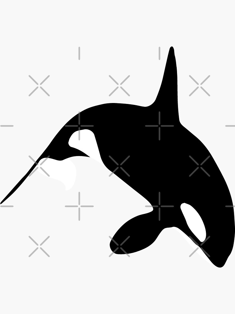 "Orca, Killer Whale Breaching" Sticker by monsterplanet | Redbubble