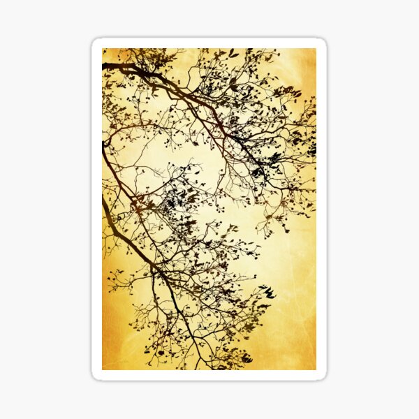 "Black and Gold Tree Art" Sticker for Sale by rollosphotos | Redbubble
