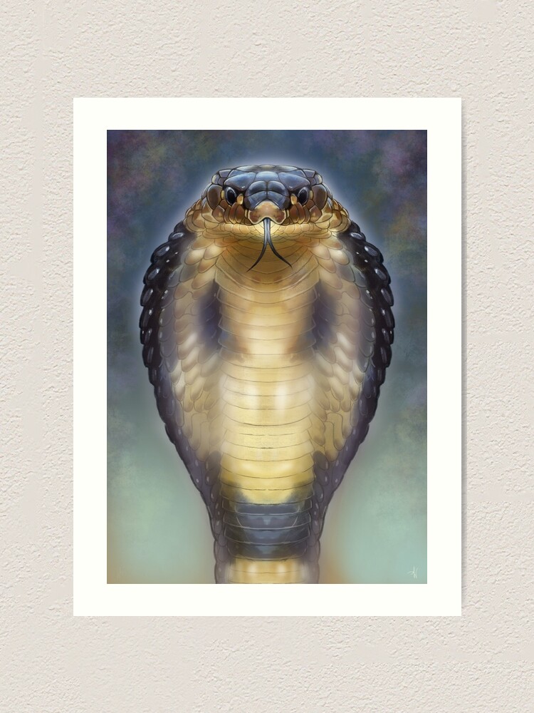 Prints Art & Collectibles Cobra Art Print Snake Art Print Snake Print ...