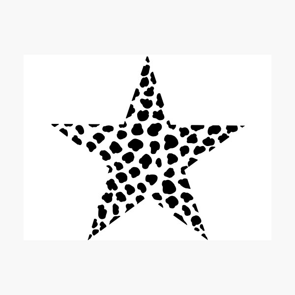 "Cow Print Star" Photographic Print for Sale by sloanegriffiths | Redbubble