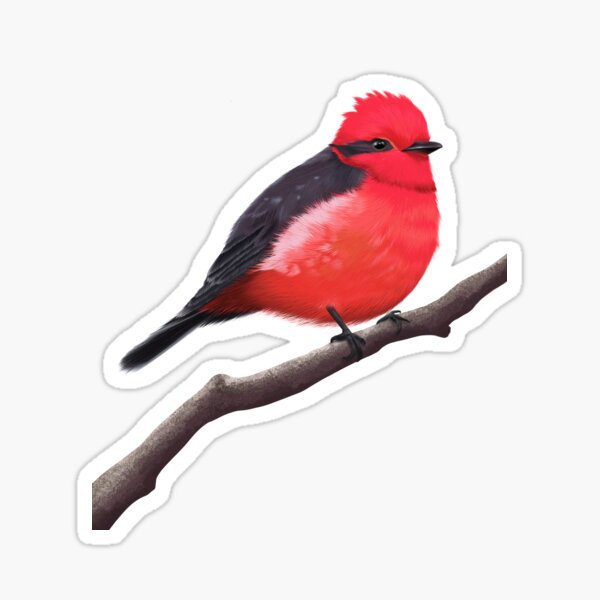 "Tiny red bird" Sticker for Sale by Juliarch | Redbubble
