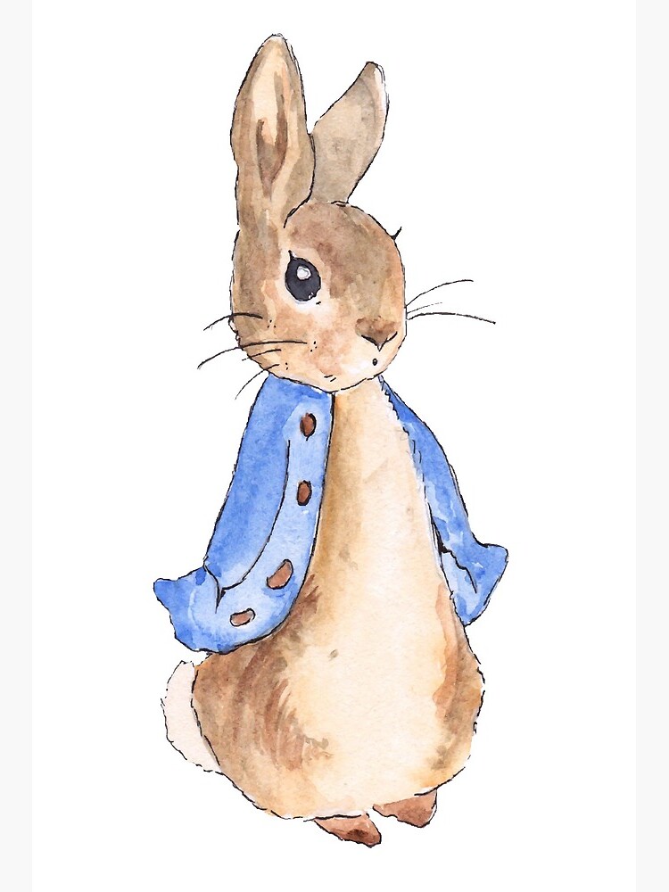 "Peter Rabbit" Art Board Print for Sale by Funky-Designs | Redbubble