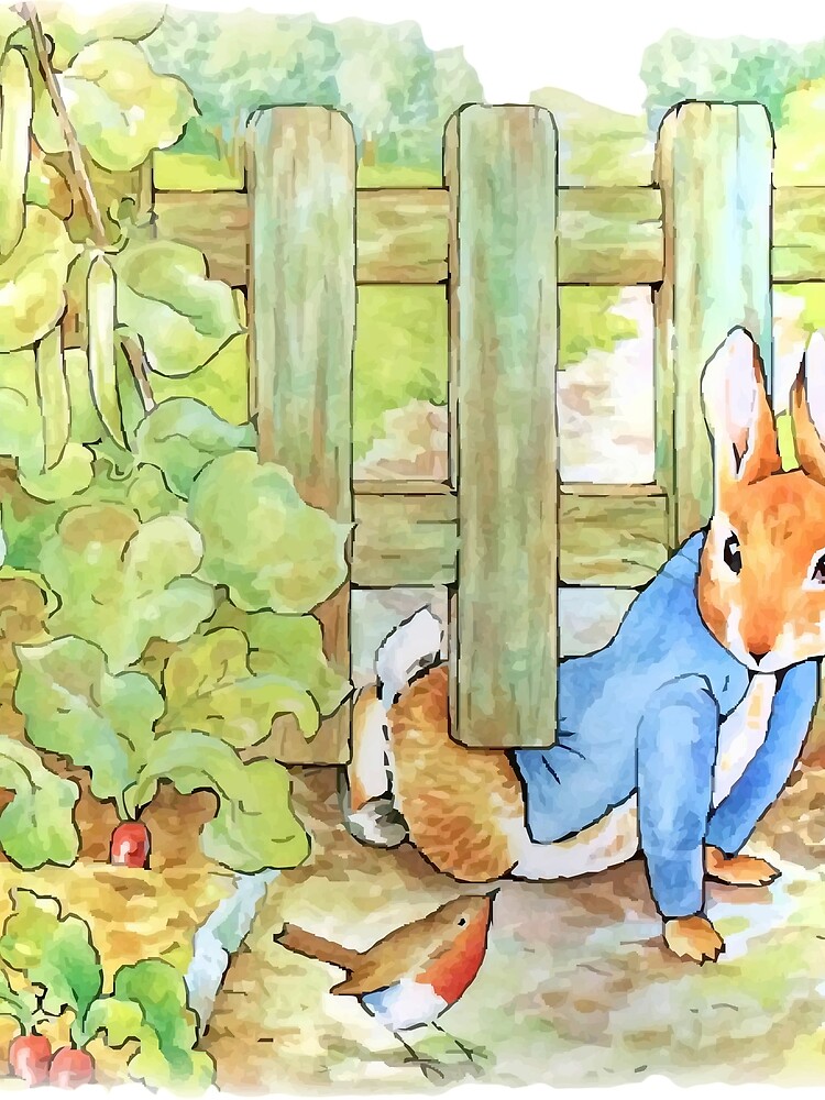 "Peter Rabbit 3" Scarf for Sale by Funky-Designs | Redbubble