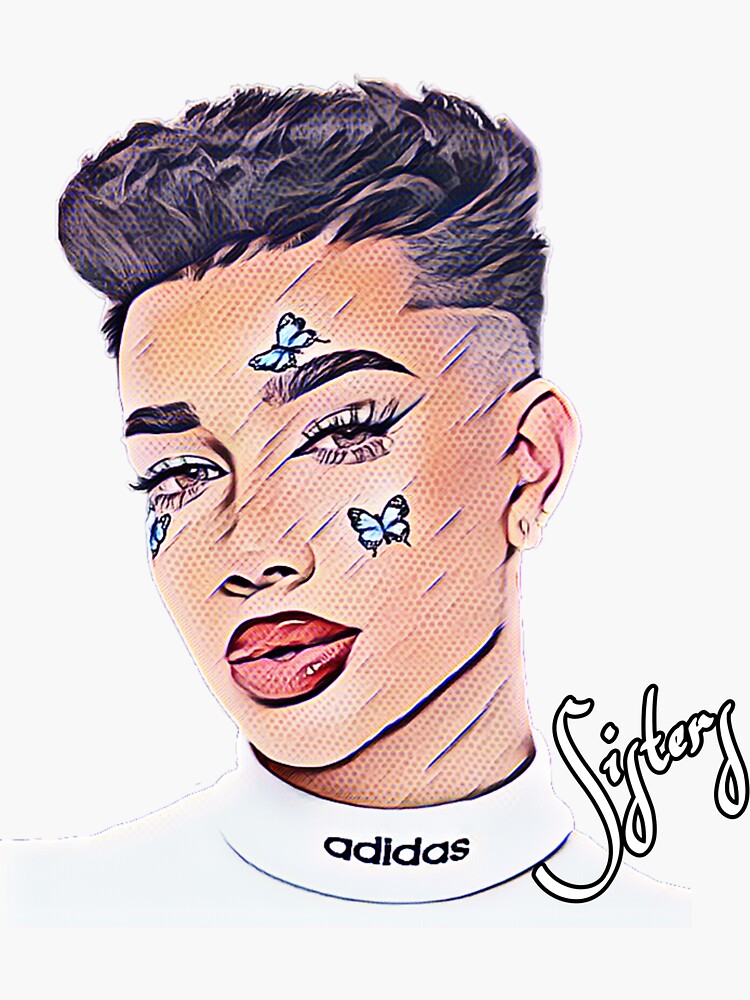 "James Charles Mask" Sticker for Sale by CGirly | Redbubble