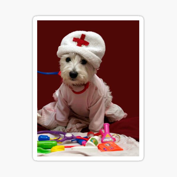 "Get Well" Sticker for Sale by apami | Redbubble