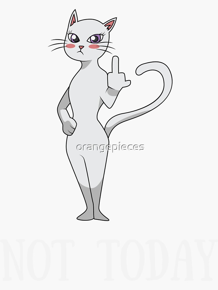 "Not Today! Cute rude Middle Finger Cat Lady Gifts for Women Shirt ...
