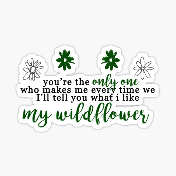 "5SOS - WILDFLOWER" Sticker for Sale by love4yves | Redbubble